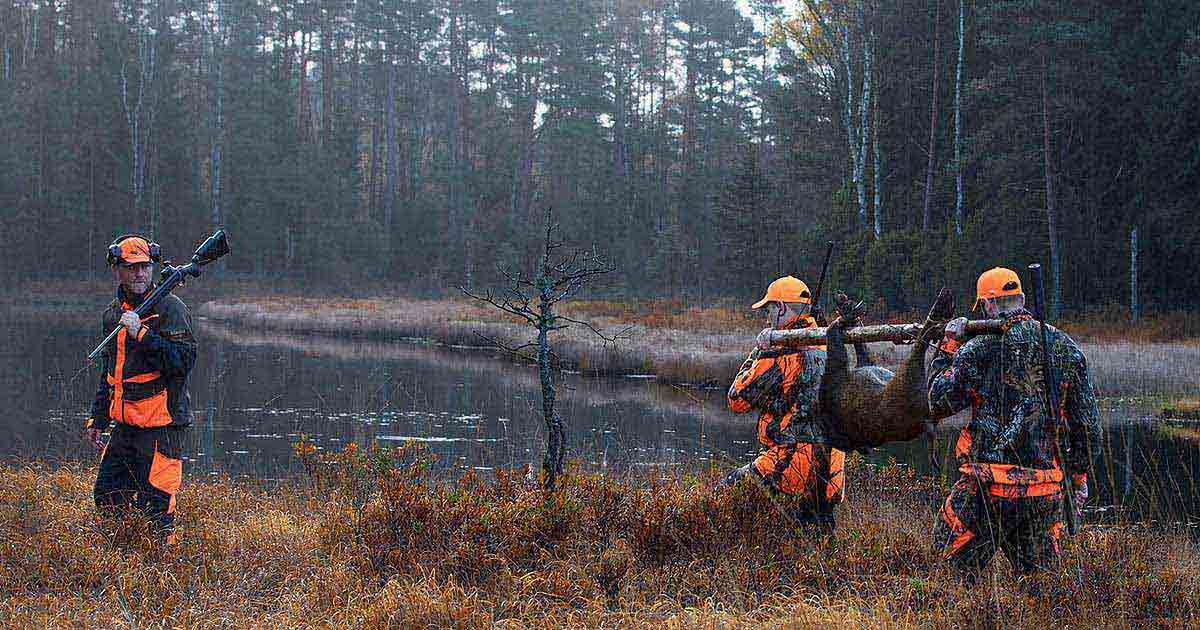 Hunting